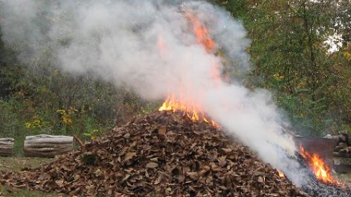 Stop Burning Biodegradable Waste – Save Our Air, Save Our Health!